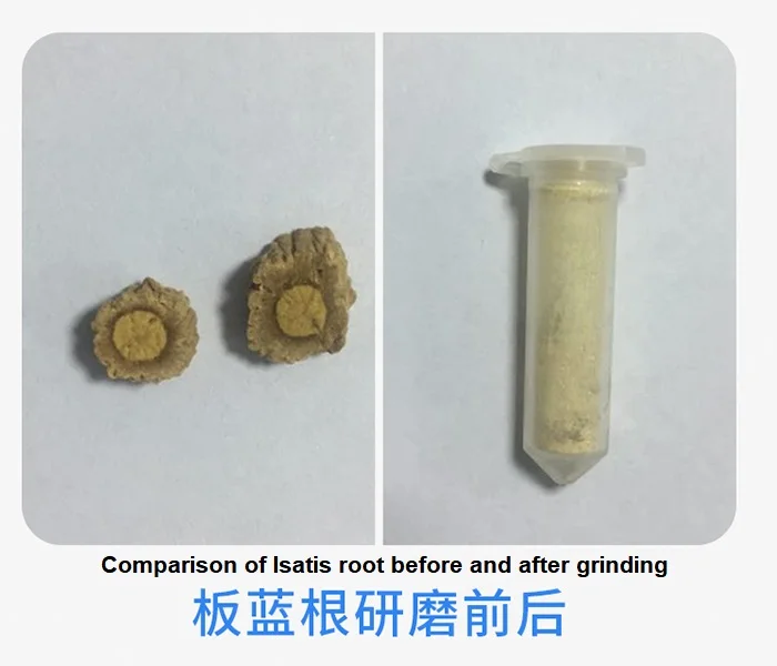 NANBEI NW-800 Tissue Grinder - High-Throughput & Efficient