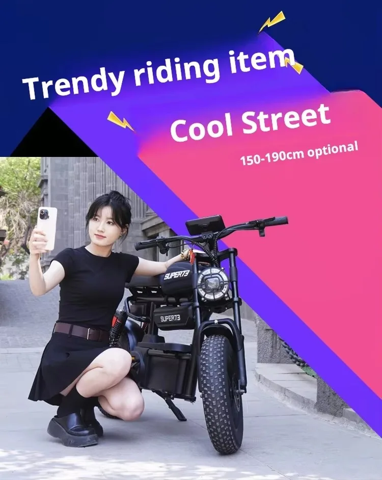 20 InchElectric Sow Bike Full Suspension Off-road 4.0 Fat Tire Long ...