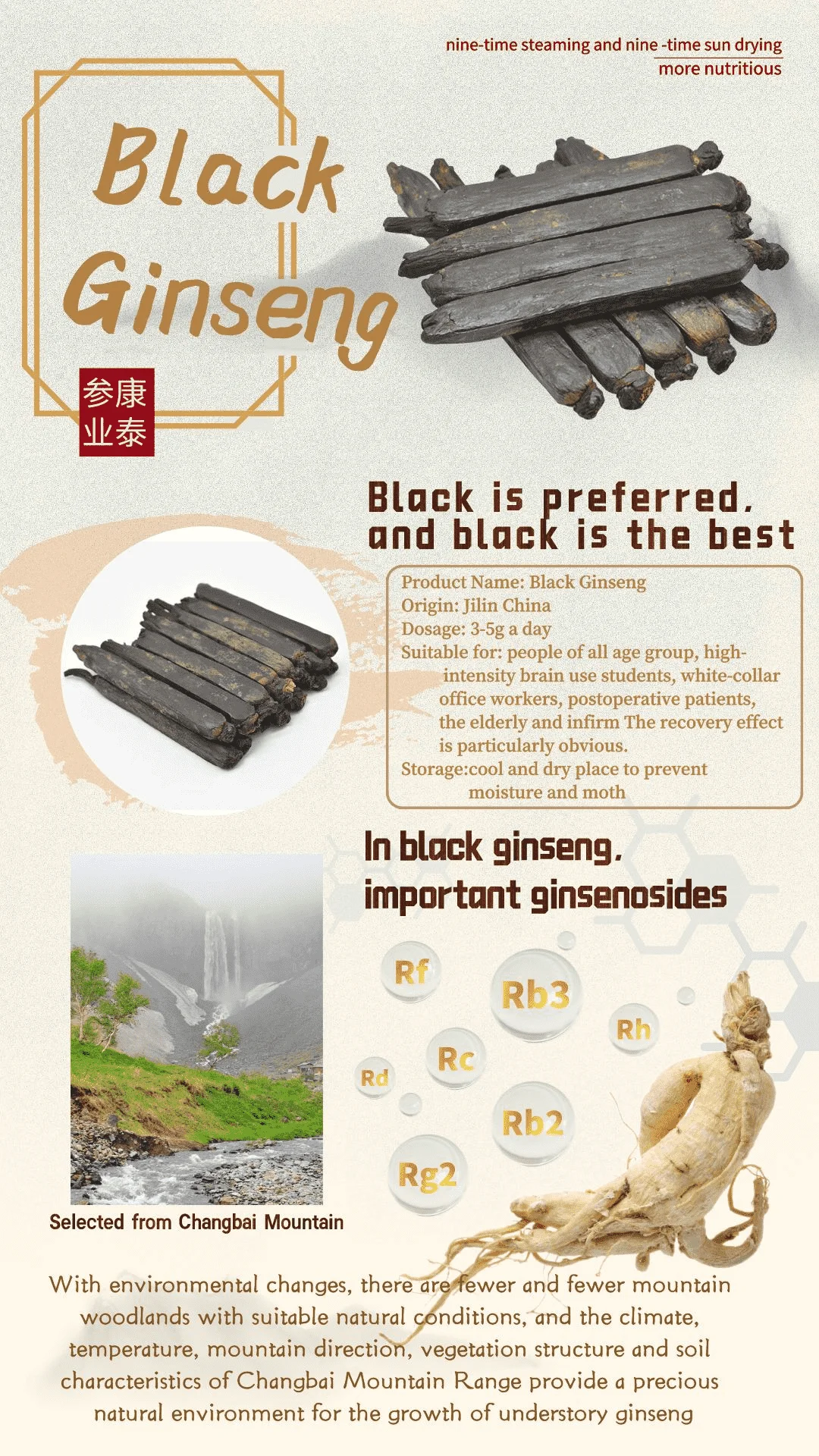 Gisenosides Fulled Black Ginseng Root Extract Fresh Panax Ginseng ...