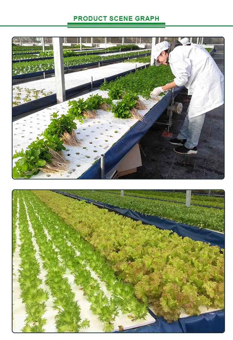 Omana 120x60cm Xps Floating Rice Planting Board Dwc Floating Hydroponic ...