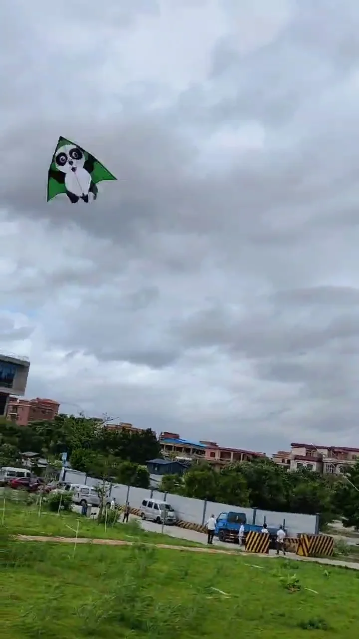 Wholesale Chinese Traditional Kite Custom Made Durable Ripstop Nylon 3d ...