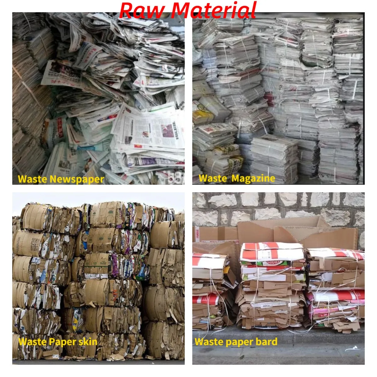 Disposable Food Meat Sushi Cake Fruit Biodegradable Sugarcane Bagasse ...