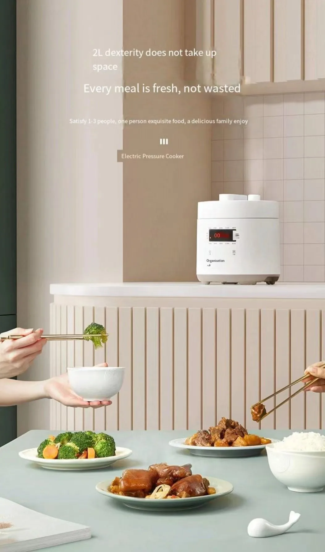 German Electric Pressure Cooker Household Small Automatic Electric ...