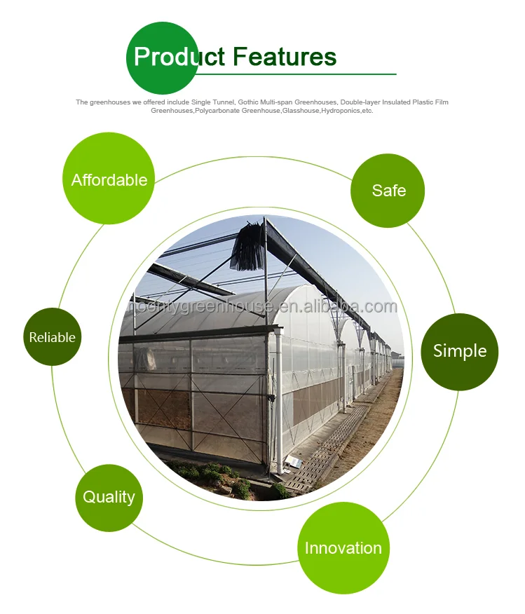 Agriculture 5 Years Usage Insect Repellent Net/ 20x10 Anti Aphid Net ...