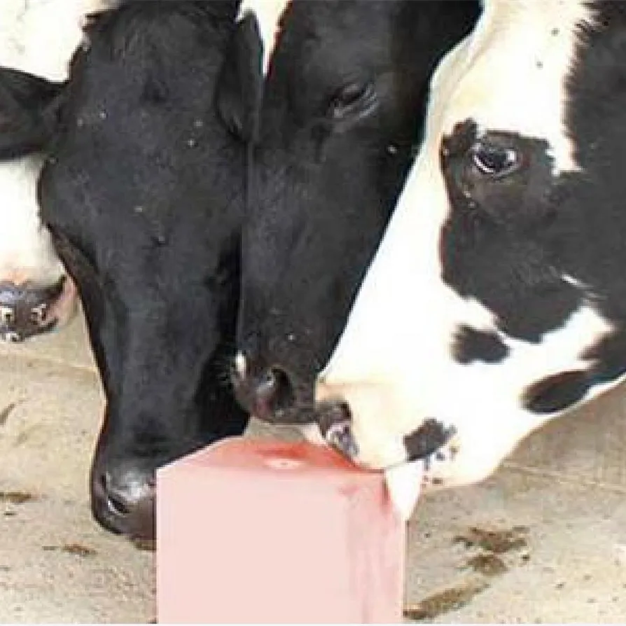 Animal Salt Block Factory Salt Blocks For Sheep Cattle Licking Brick ...