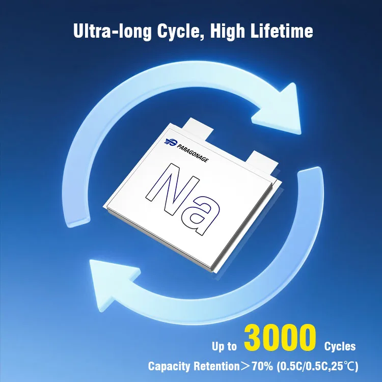 Paragonage Pouch100C NFPP Sodium Ion Battery 3.0V 5.5Ah 20Ah Pouch ...