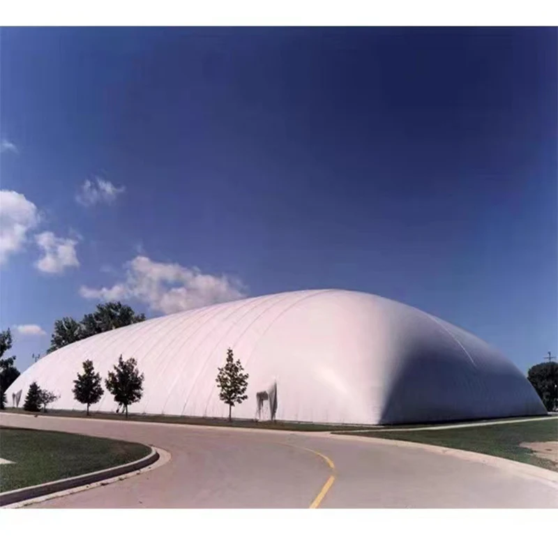 Customizable Multifunctional Air Dome for Sports & Events