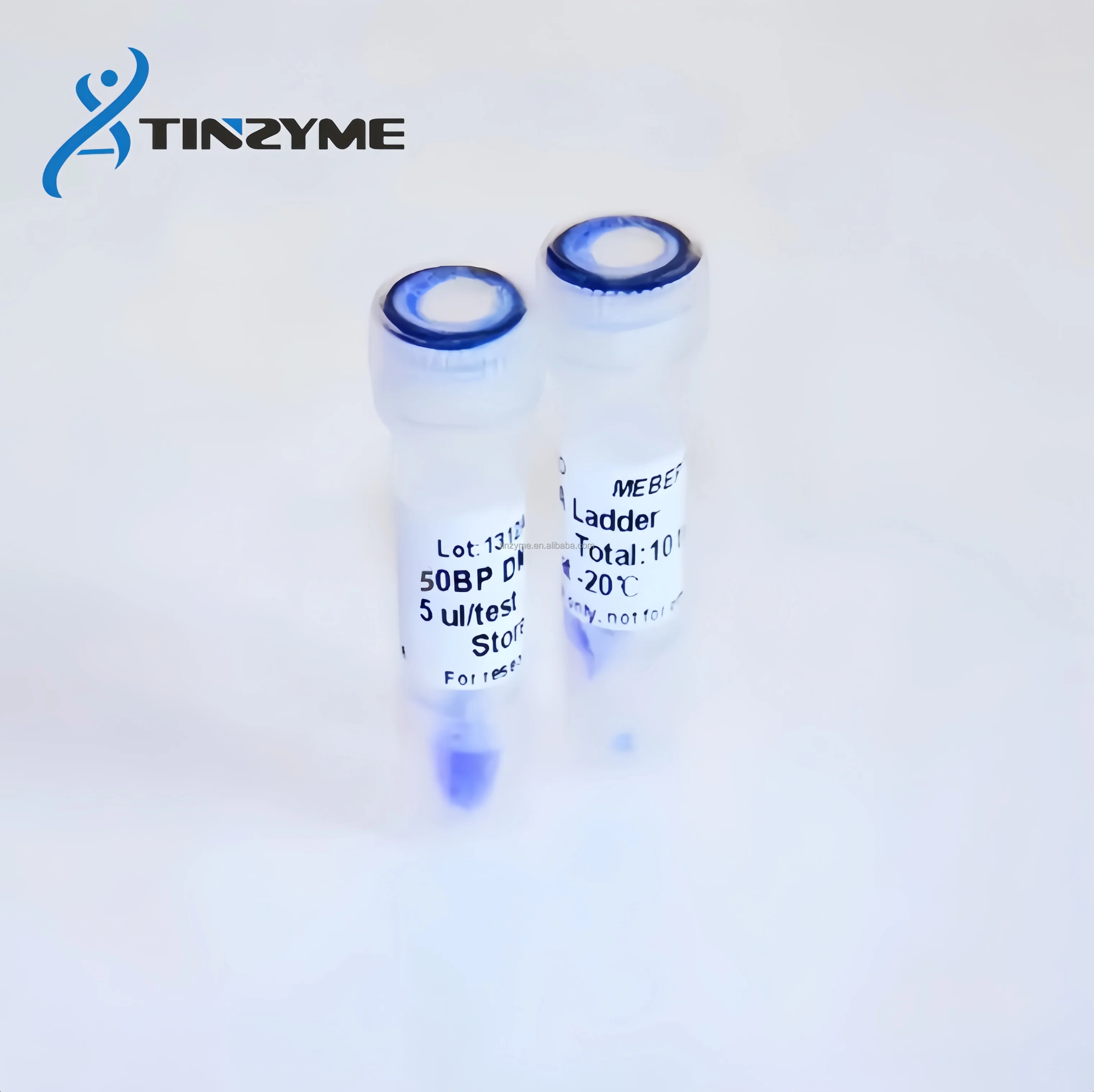 Tinzyme 50bp DNA Ladder Marker - Clean Background, Clear Bands