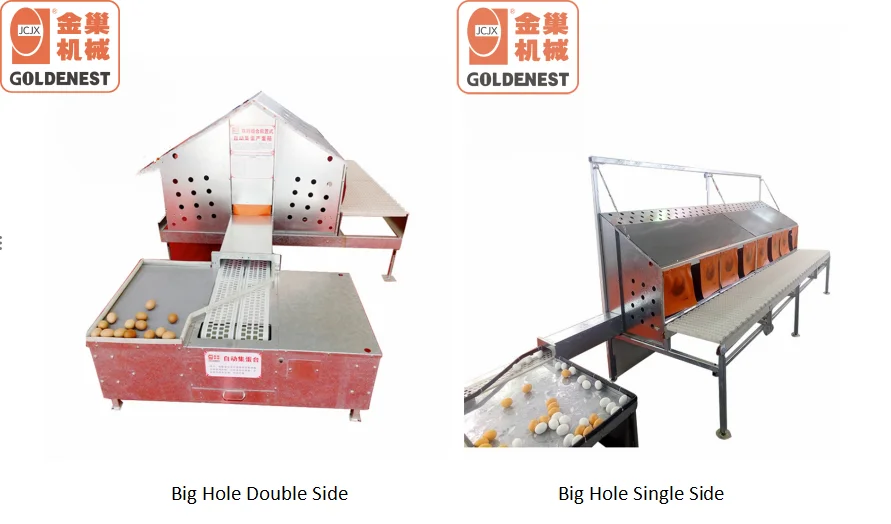 Automatic Poultry Farm Chicken Nest Layers Egg Collector Chicken Nest ...