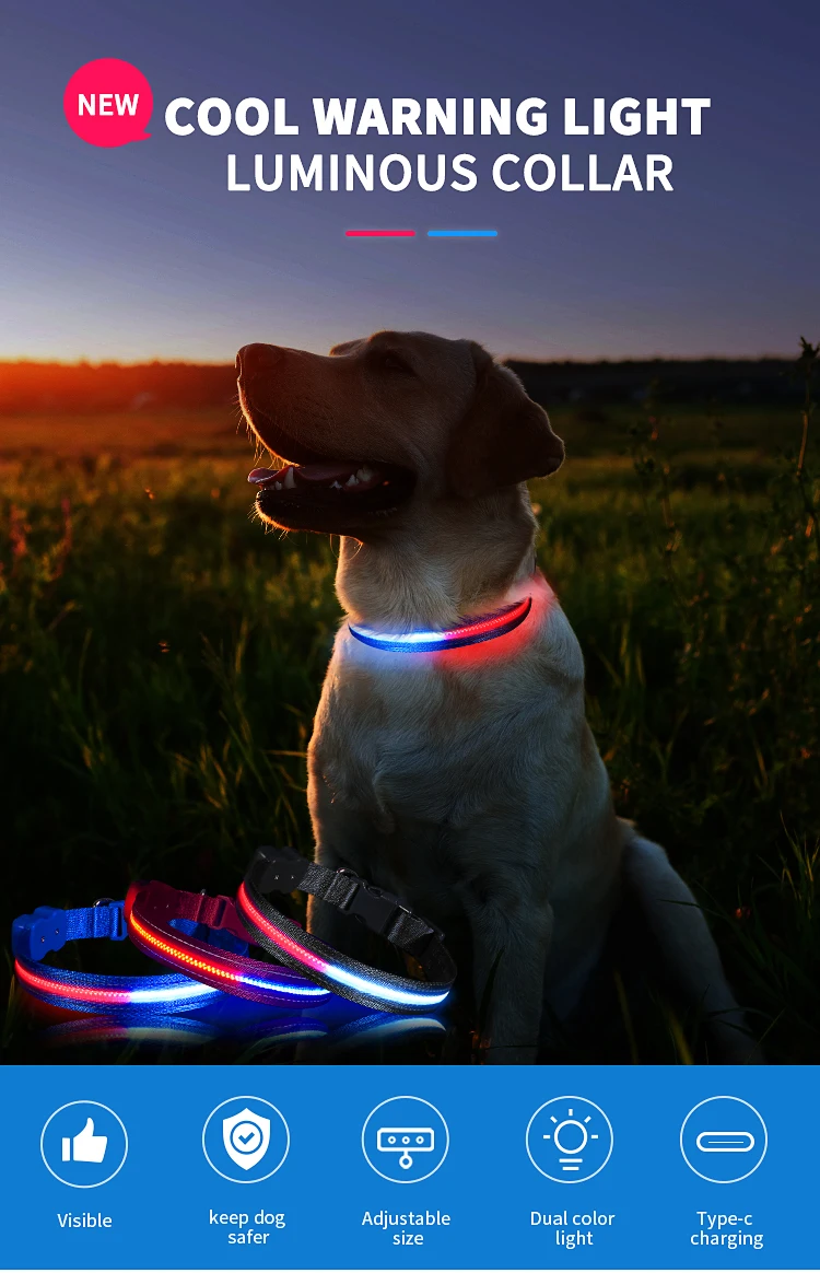 New Arrival Warning Pet LED Dog Collars Charge Nylon Flashing Light up ...