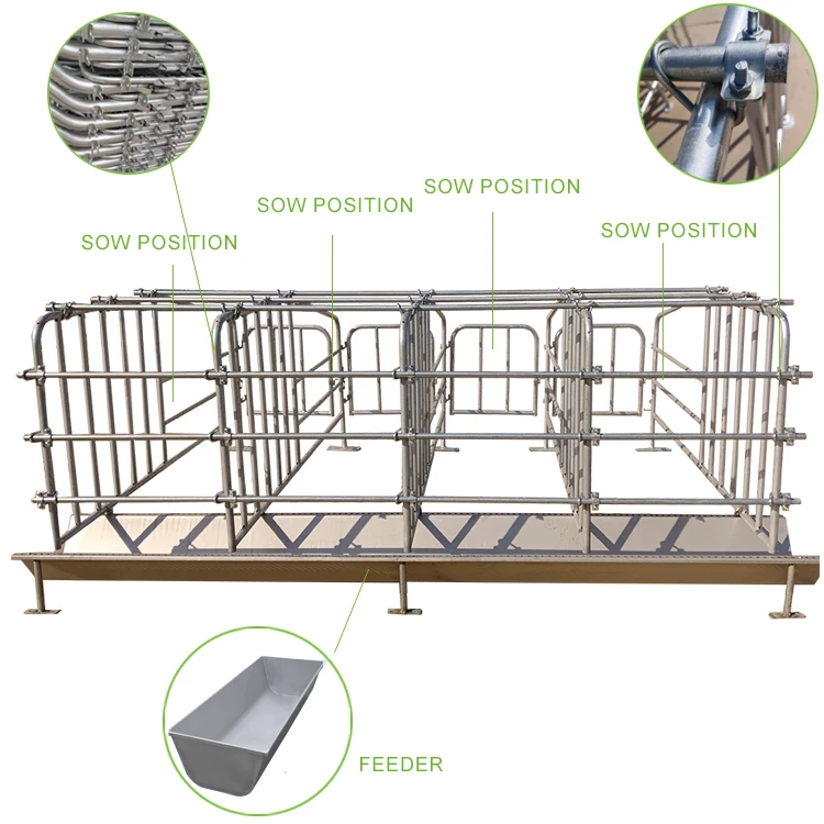 Hot Galvanized Hog Raised Gestation Crates Bed Matting For Pigs - Buy ...