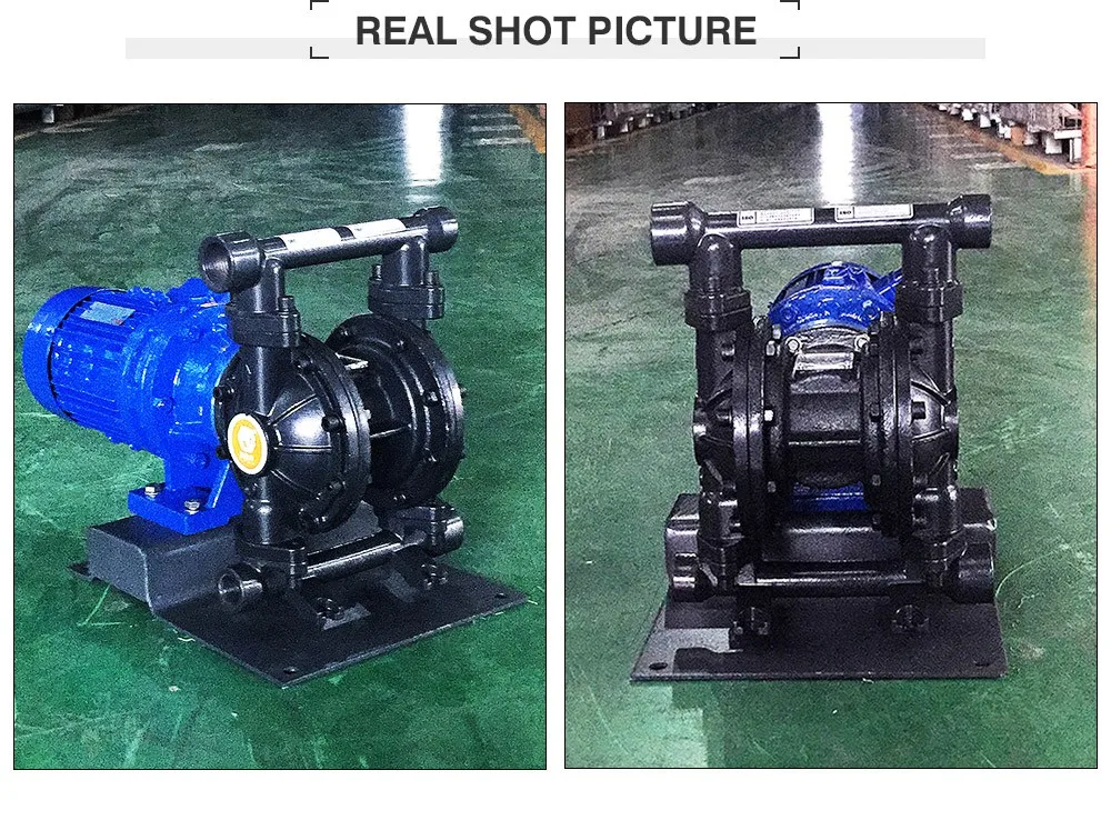 Dby3s-20g 3/4 Inch High Pressure Electric Pump Sewage Diaphragm Pump ...