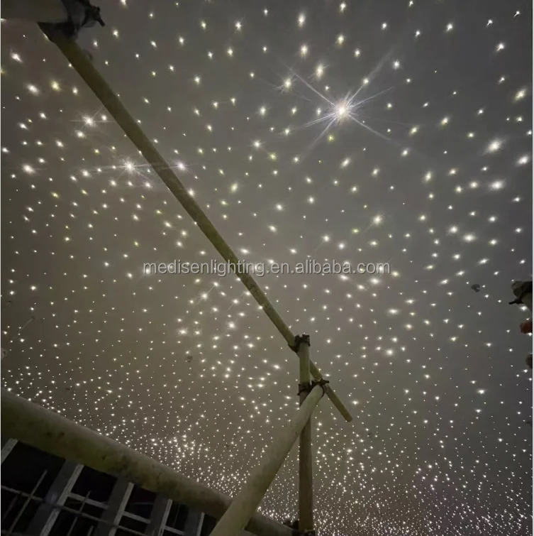 RGBW Twinkle Fiber Optic Star Ceiling Light 16W LED Source Color ...