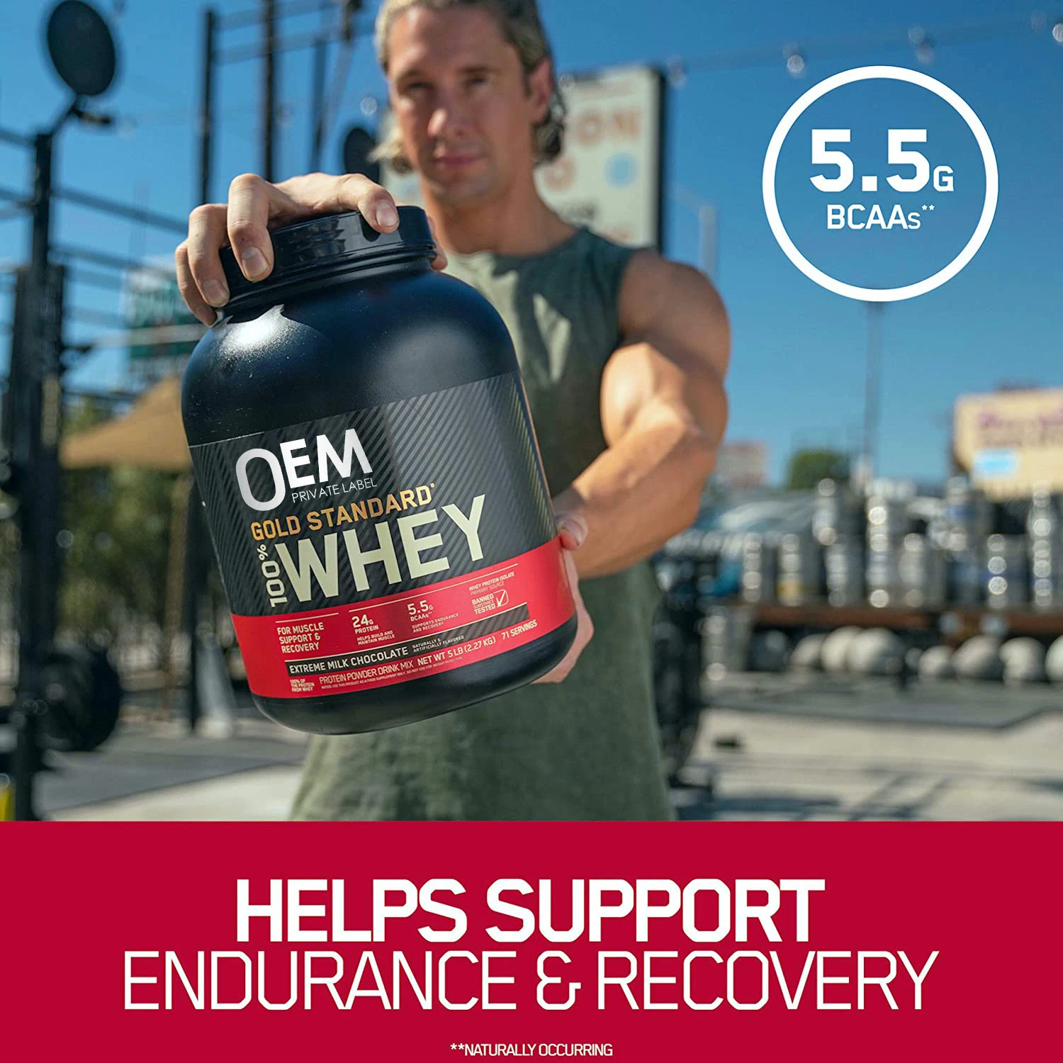 Wholesale Whey Protein Powder with Creatine for Muscle Growth