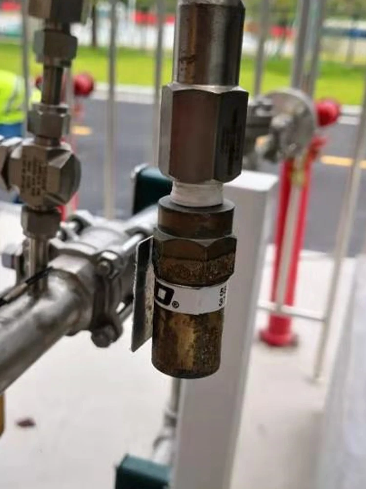 REGO Cryogenic Gas Safety Valve PRV9432 Series - Low Temp