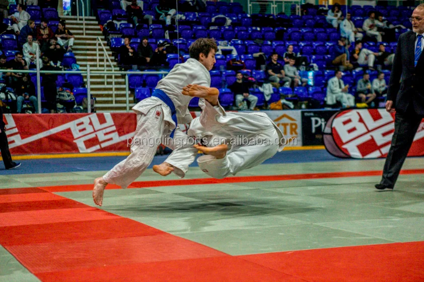 Tatami Mat Judo Judo Practice Mat Tatami Karate Mat for Judo From Pangu ...