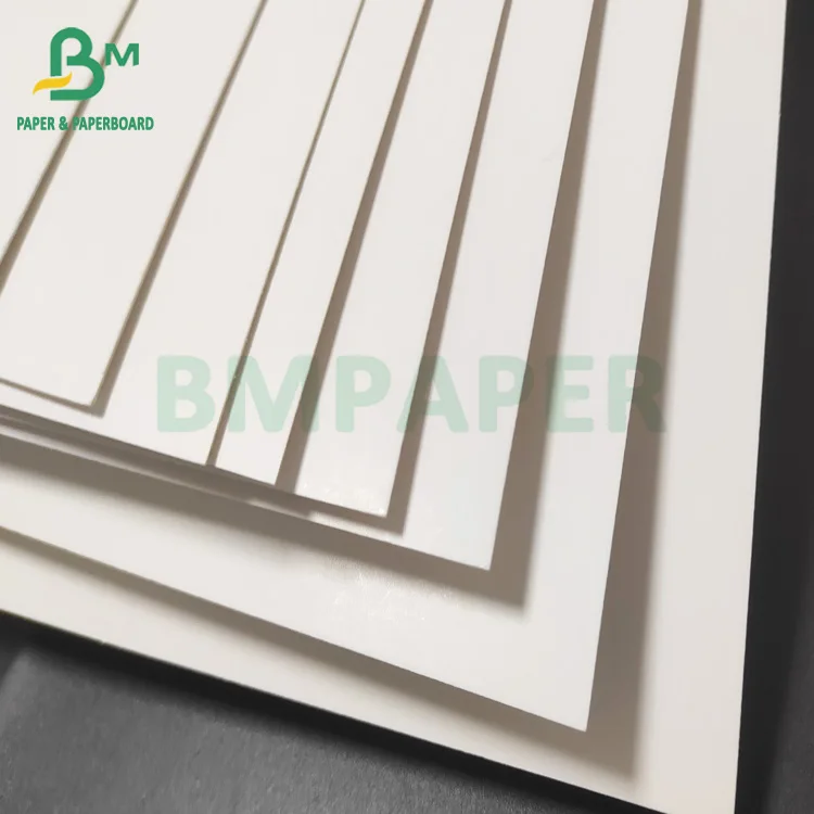 C1S SBS Paper Board - Premium Cardstock for Packaging
