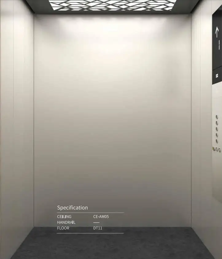 Modern Safety Elevator for Residential Homes - Neoteric