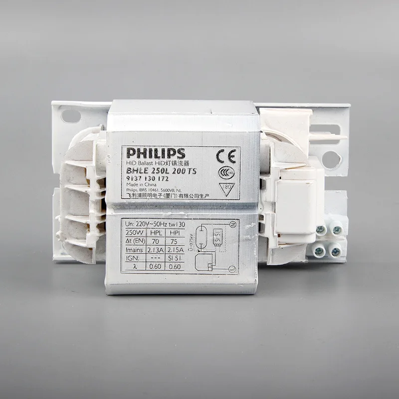 Philips 250W/400W Metal Halide Lamp Ballast Floodlight with Overheat ...