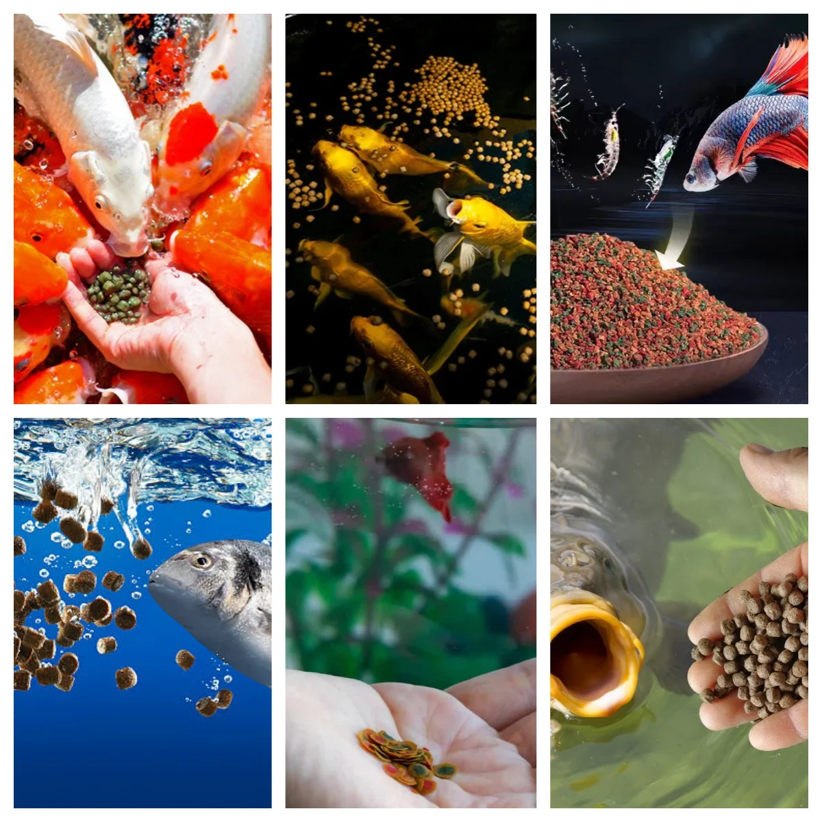 Fish Food Manufacturing Machine Floating Fish Feed Pellet Extruder ...