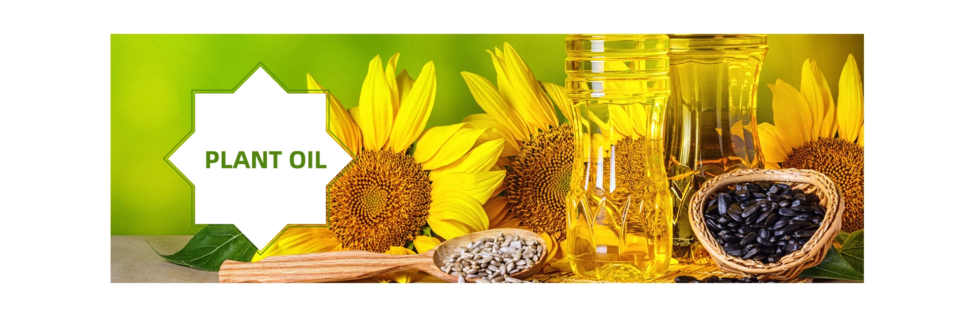 Company Overview - ACEL A/S