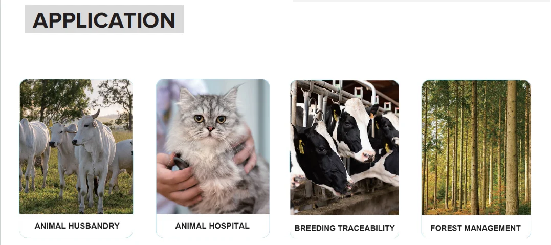 JT-H02 Animal RFID Reader Module - Long Range 134khz