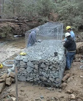 Galvanized Rockfall Netting Protection Mesh Gabion Roll