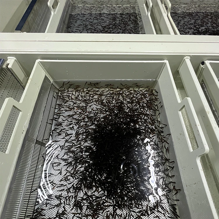 Aquaculture Hatchery Systems - Indoor Fish Farming Tanks