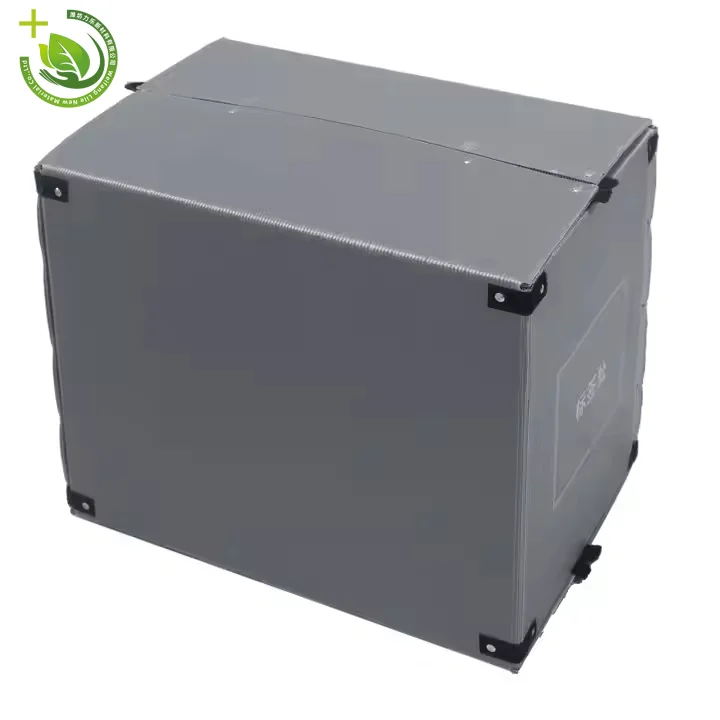 Folding Coroplast Archive Box - Customizable & Durable