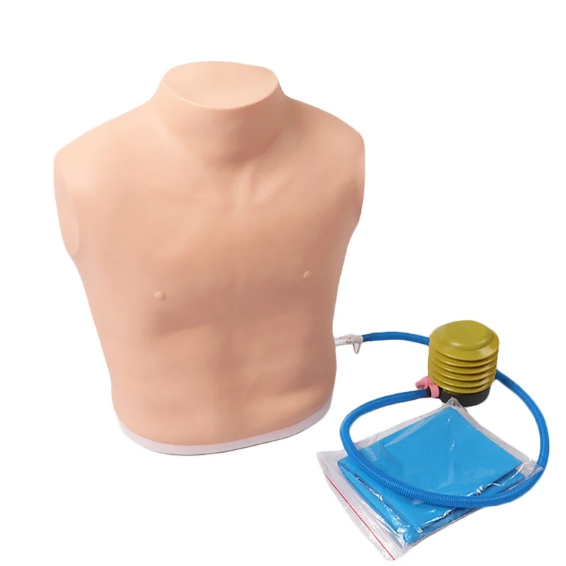 DARHMMY PVC Medical Science Training Simulator Professional Development ...