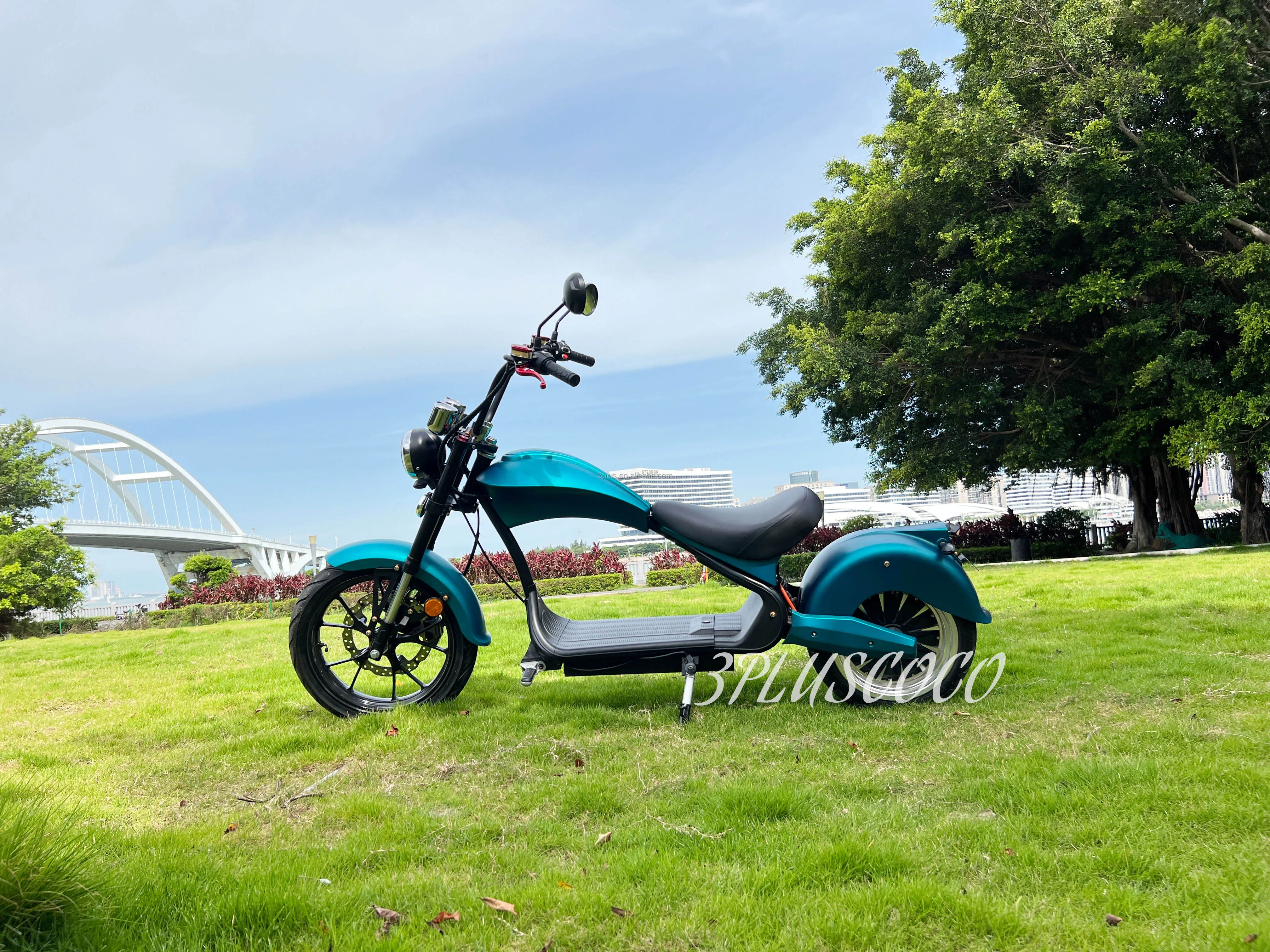 4000W Citycoco EEC COC Electric Scooters for Adults 75km/h