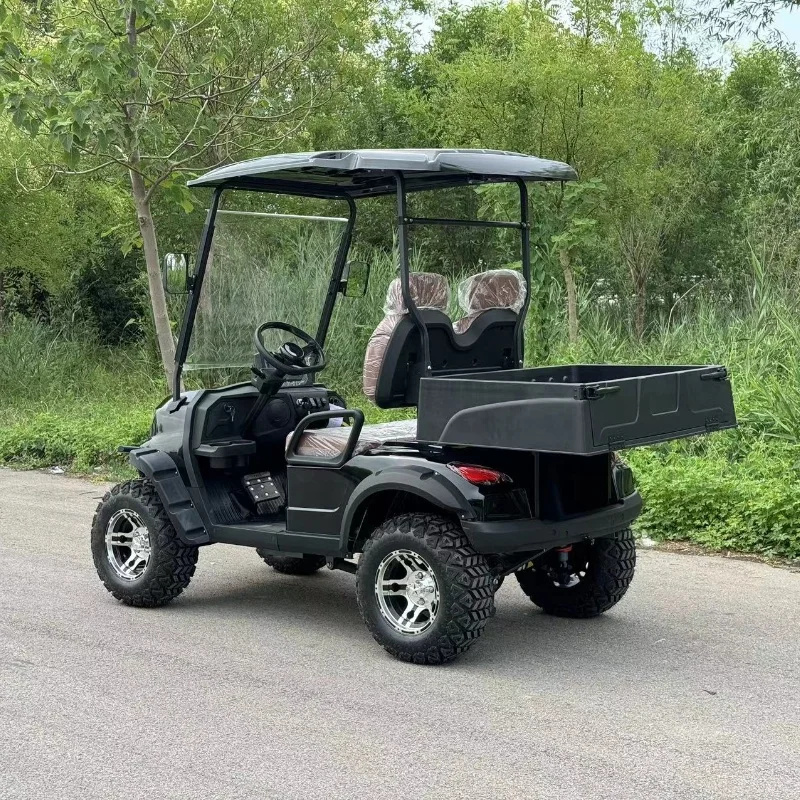 Utility Vehicle 2 Seater Electric Golf Carts Mini Golf Cart Dump Golf ...