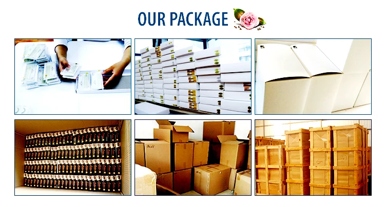 Aguud Angel's Wings 7d 0.05mm 120 Fans Promade Pointy Base Premade ...