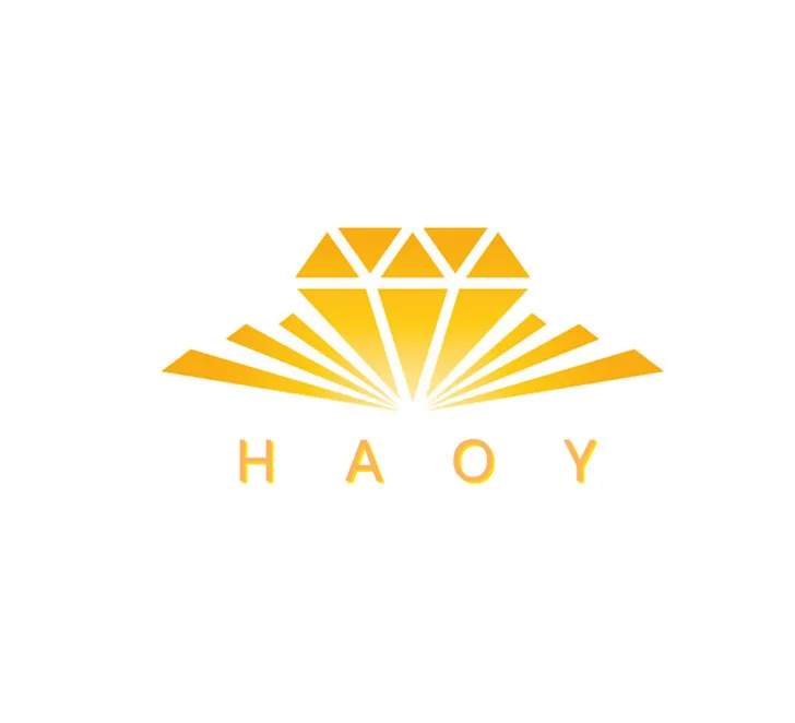 Company Overview - Shenzhen Haoyang Electronic Commerce Co., Ltd.
