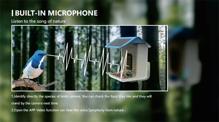 Ai Bird Species Recognition Smart Bird Feeders With Camera And Motion Detection Function - Buy ...