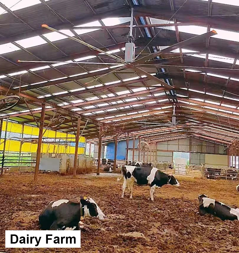 RTFANS Animal Cow Fan - Efficient HVLS Solutions for Farms