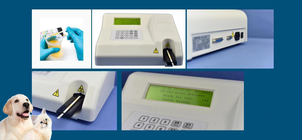 Portable Semi Automatic Urine Analyzer for Vet with Printer