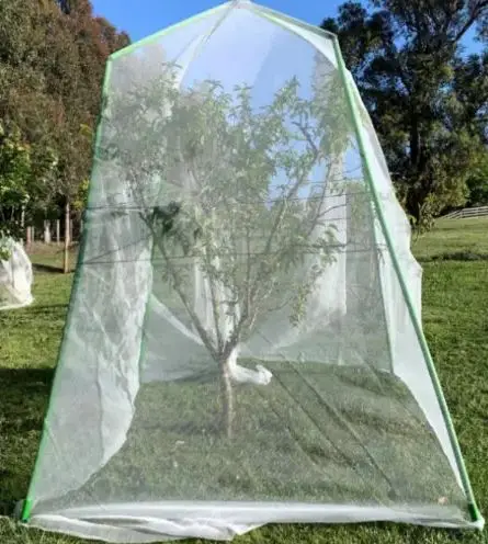 Vegetable Insect Net, Plastic Garden Net, Insect Protection Mesh, Anti ...