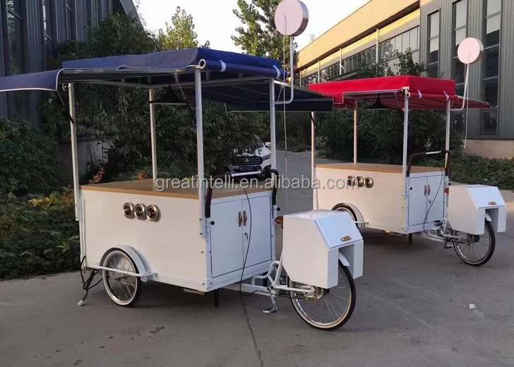 3 Wheel Cargo Bike Street Food Delivery Bike Crepe Trailer High ...