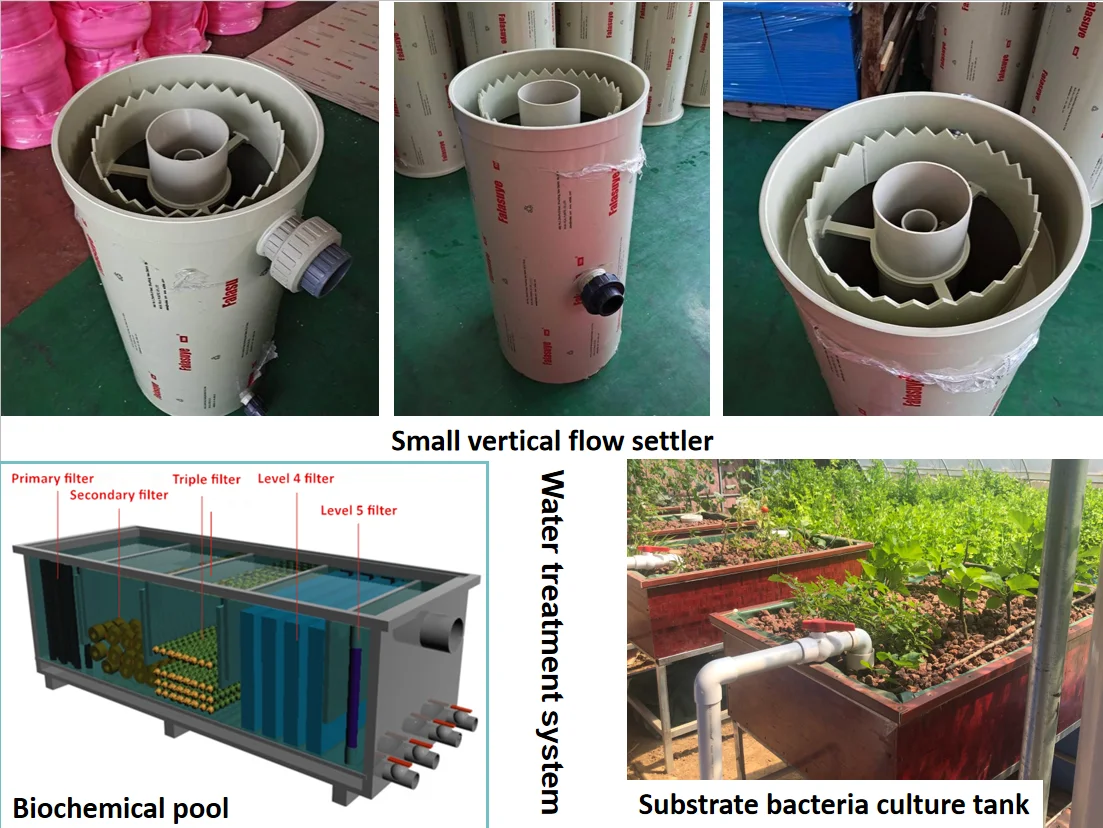 Aquaponics Growing System Aquaponics System For Fish And Vegetable ...