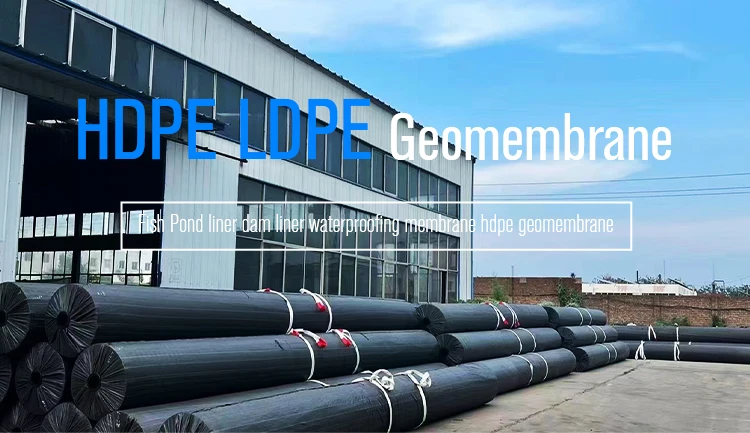 Ldpe Sheet Thickness 0.3mm 0.5mm 1mm 1.5mm 2mm HDPE Geomembrane /LDPE Sheet| Alibaba.com
