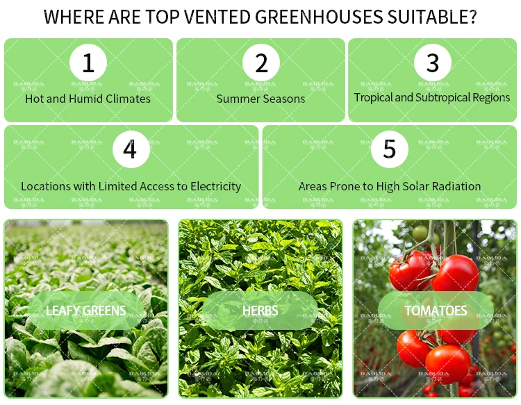 Sawtooth Greenhouse - Efficient Plant House Arch Pipes