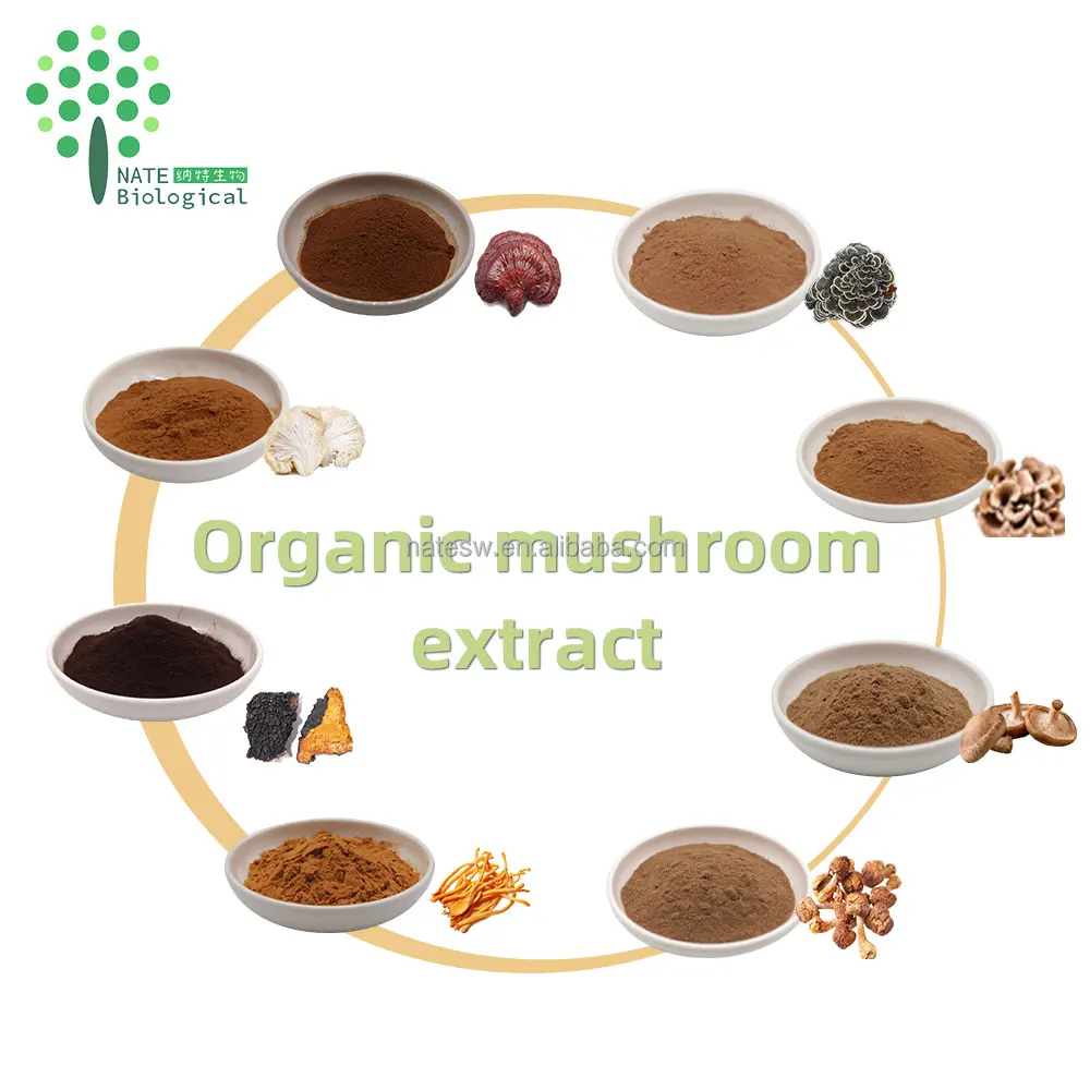 8 in 1 Organic -Mixed Mushroom Extract Powder Lions Mane, Reishi ...