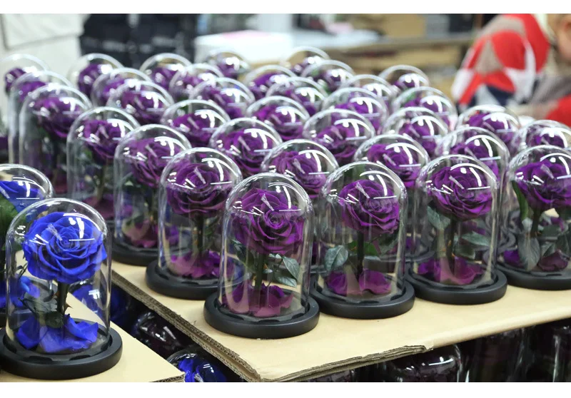 Real Rose In Glass Eternal Flower Dome For Girl Woman Red Valentine's ...