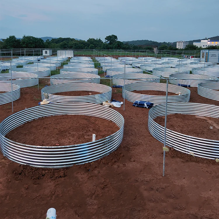 Ras Shrimp Farming Aquaculture Ras Systems Recirculating Aquaculture ...