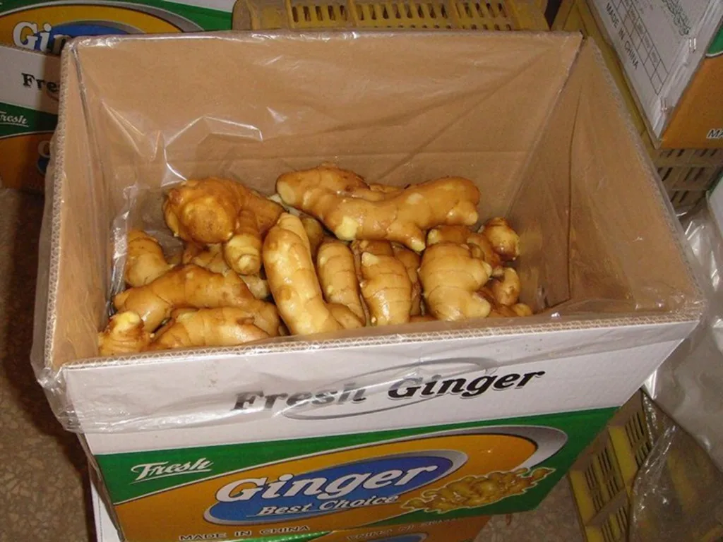 Good Quality Dried Bulk Fresh Ginger Market Price Per Ton Wholesale ...