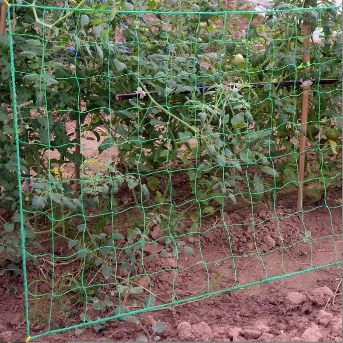 Garden Green Nylon Trellis Netting Support Climbing Bean Plant Nets ...