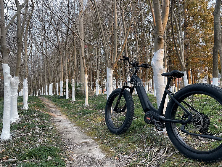 Berserk 11 Speed Fat Tyre Ebike Freego Hydraulic Disc Brake (hydraulic ...