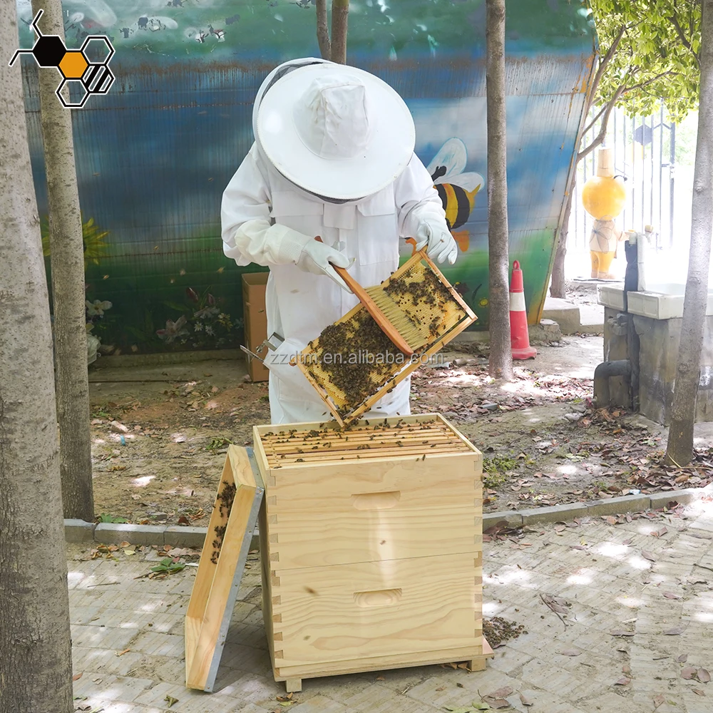 Beekeeping Equipment Australia Native Bee Hive Price 2 Deep Boxes 10 ...