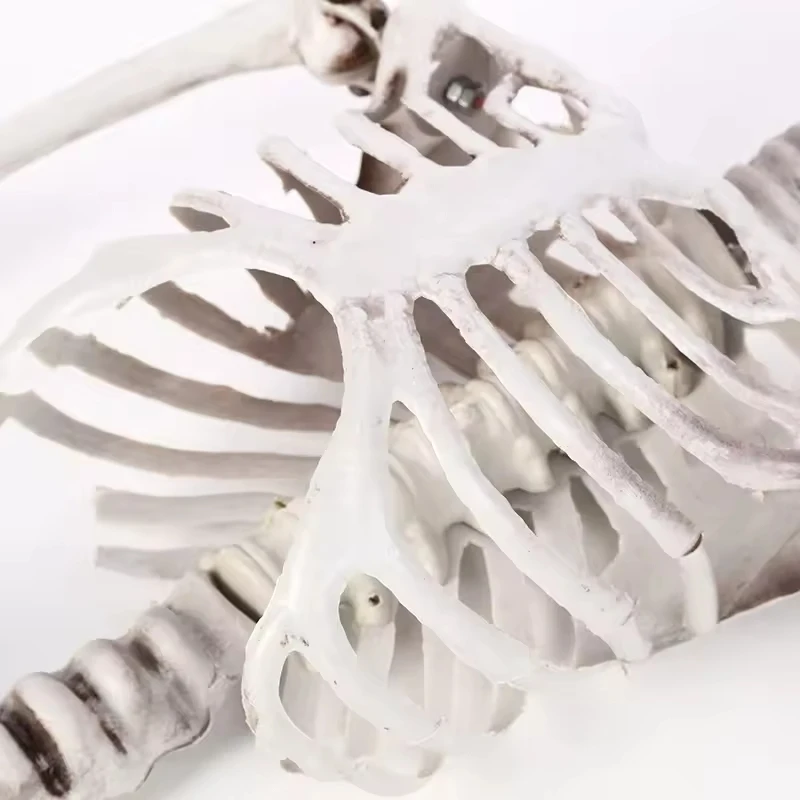 Bones Human Life Size Realistic Plastic Decoration Spooky Movable ...